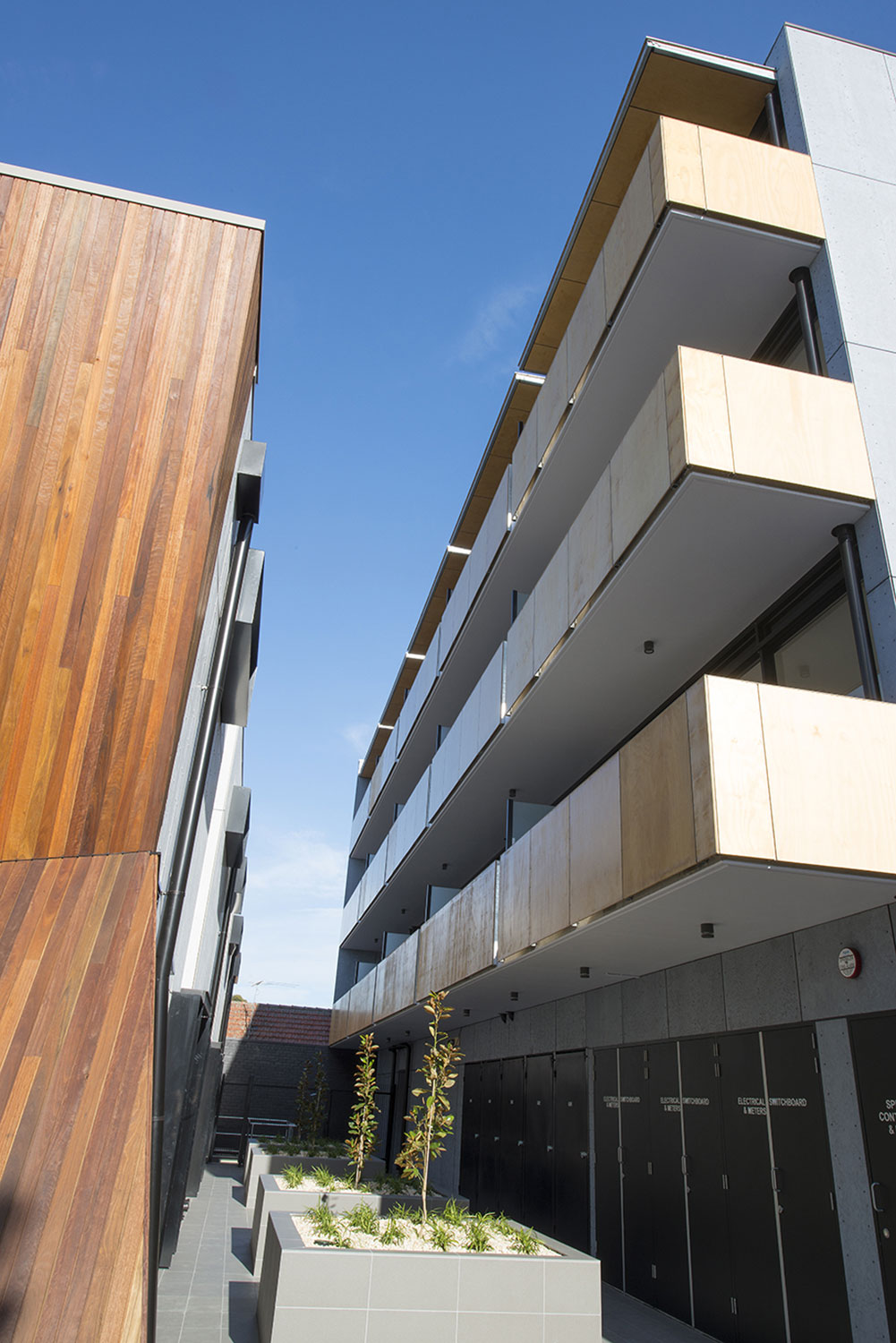 ‘The Oak’ Apartments, Malvern East - Ireland Brown Construction